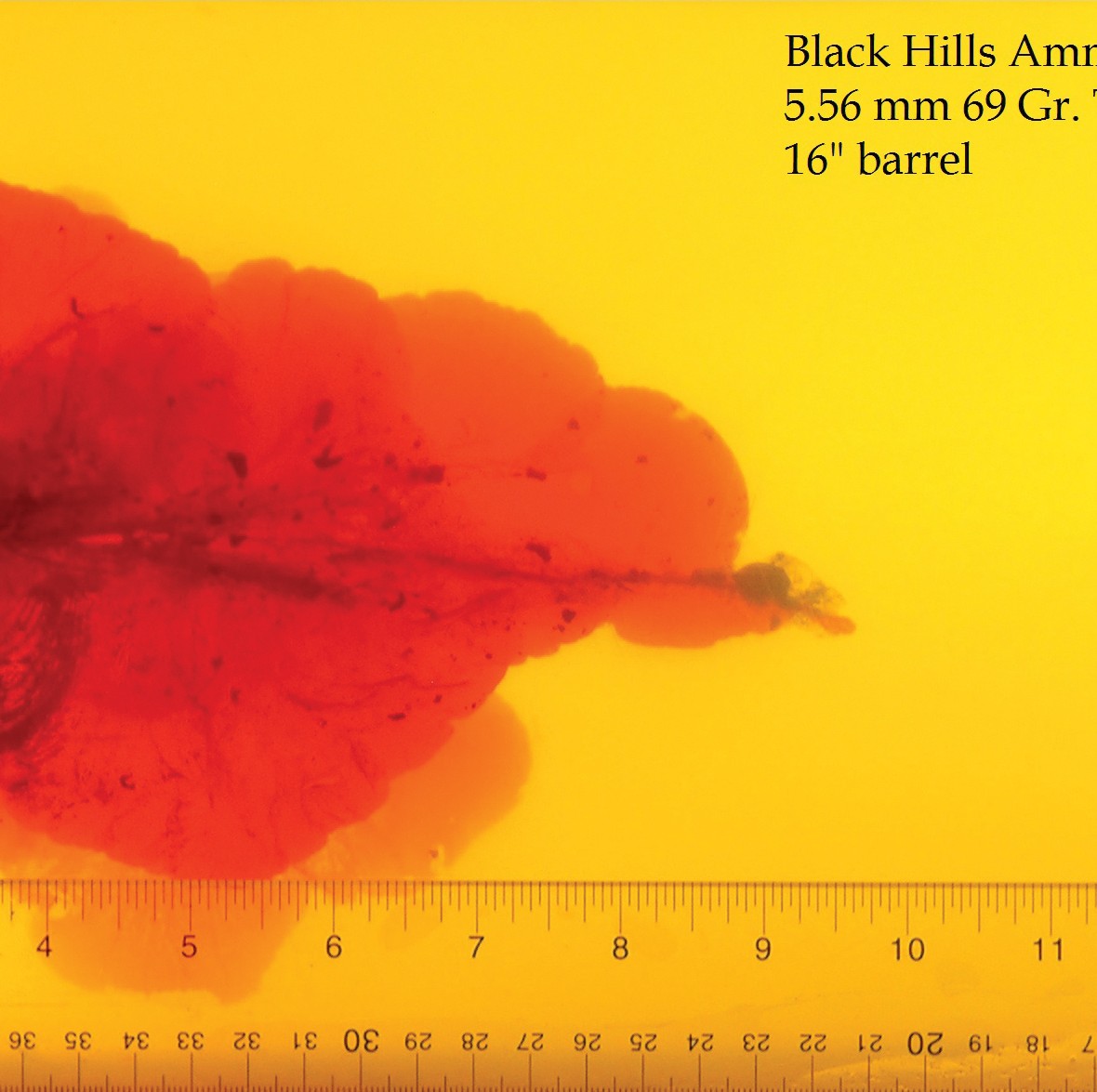 5.56mm | Black Hills Ammunition